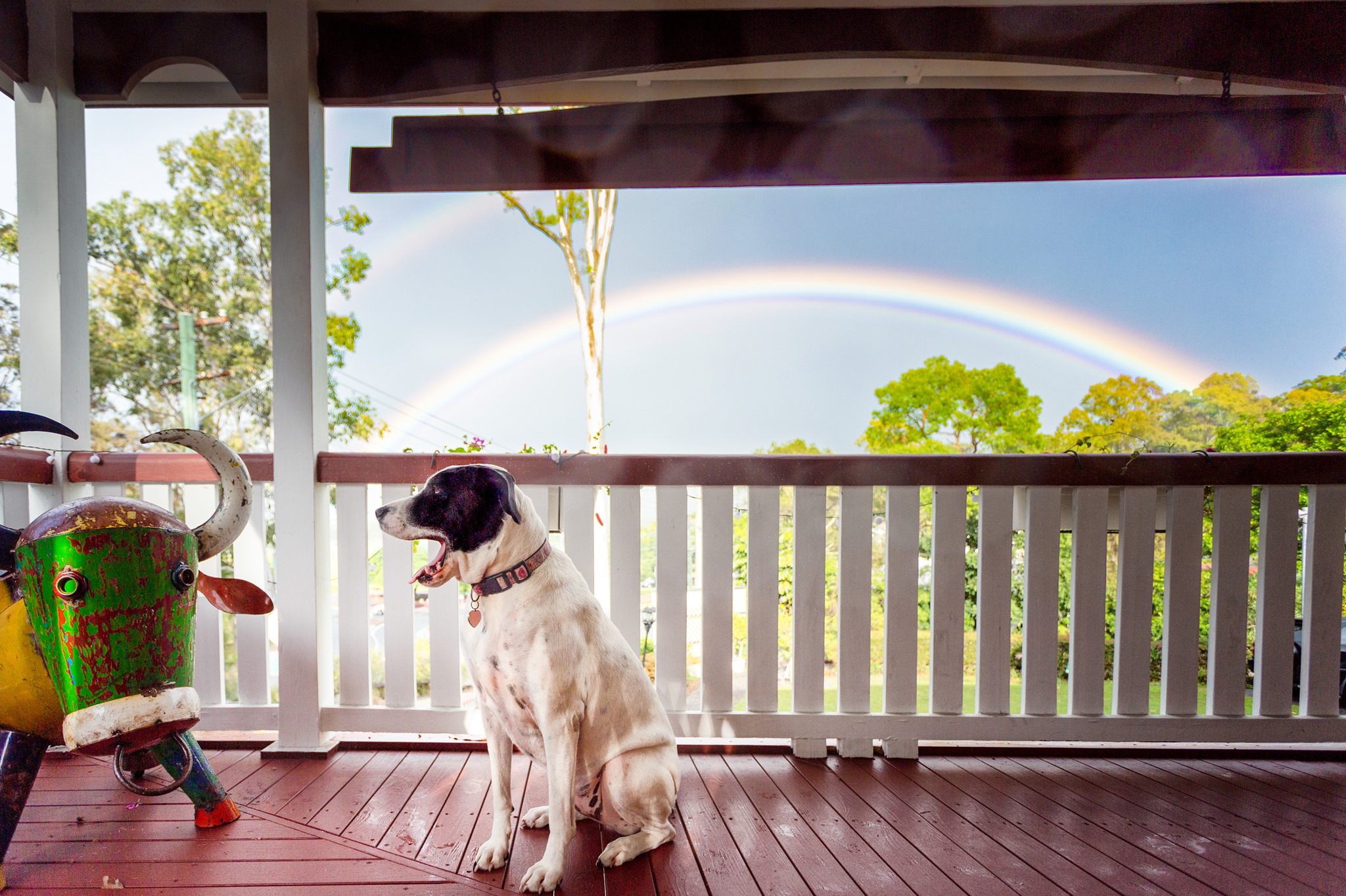 Village B&B High Tea Mudgereeba Gold Coast 1 – The Village B&B